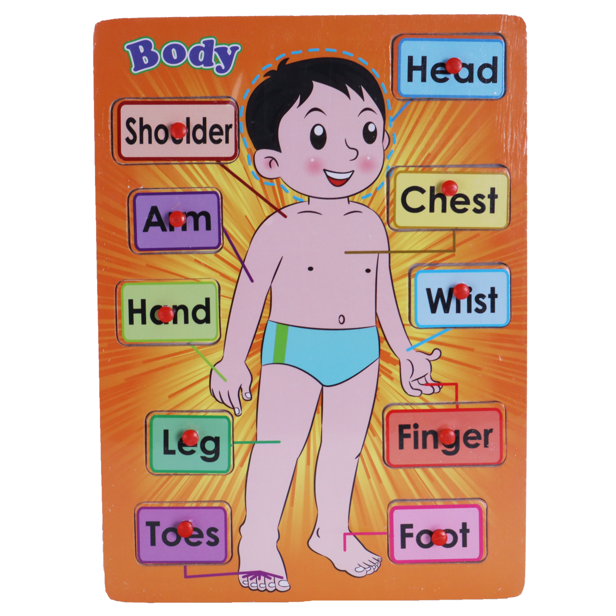 Wooden My Body Puzzle – The Toy Yard
